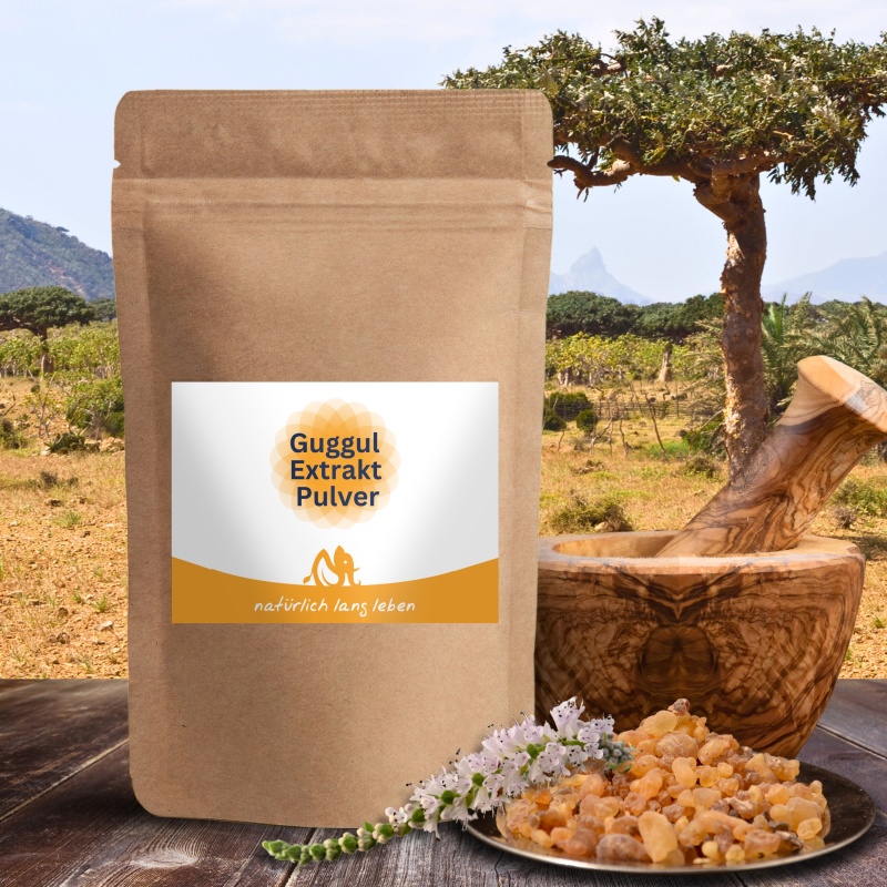 Guggul Extrakt Pulver | 100 g | Guggulsterone 2,5%
